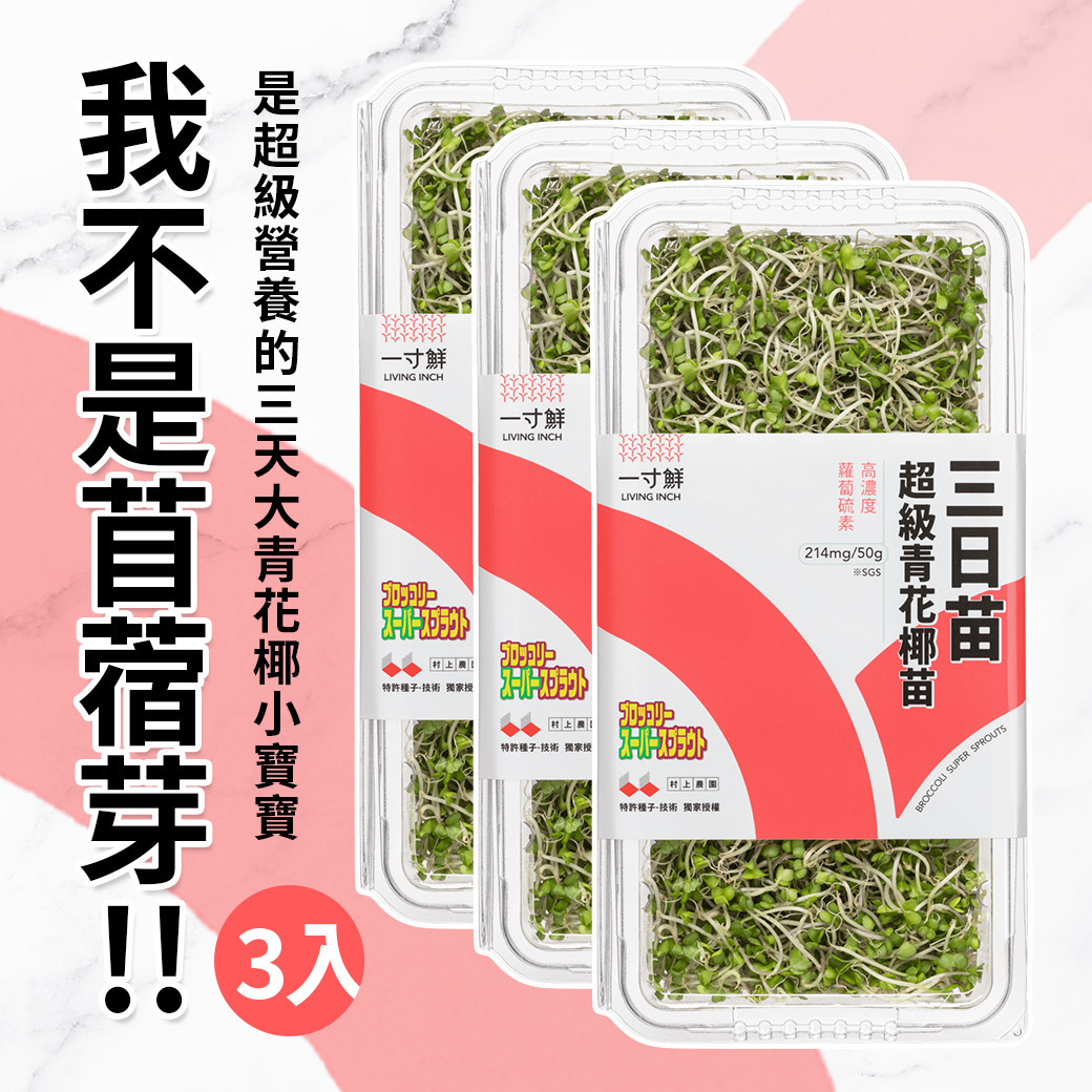 源鮮智慧農場 健康從安心吃菜開始 產品介紹 三日苗 超級青花椰苗 3盒組 TERRA 嚴選